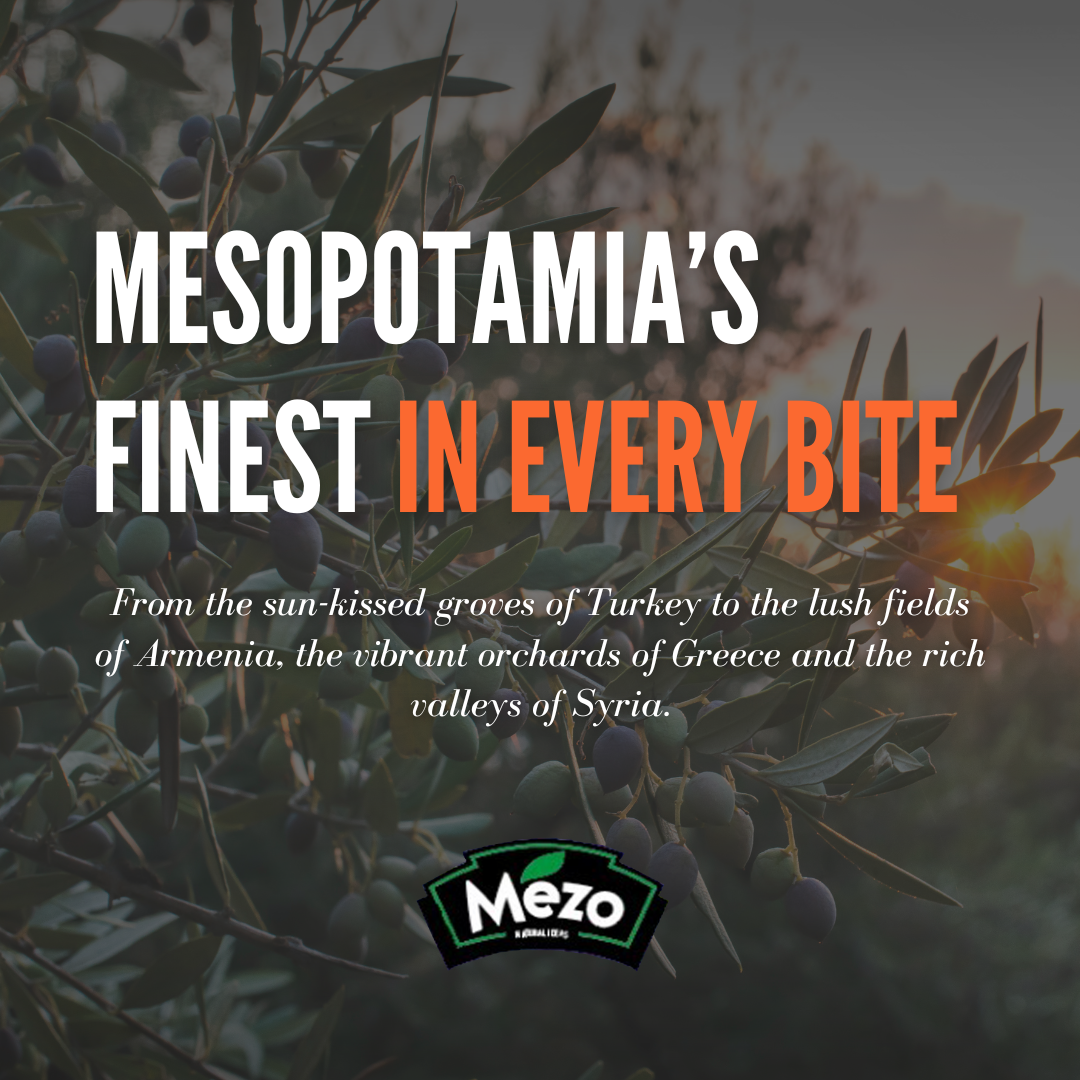 Mezo Foods - Mesopotamia’s Finest In Every Bite - MEZO Foods